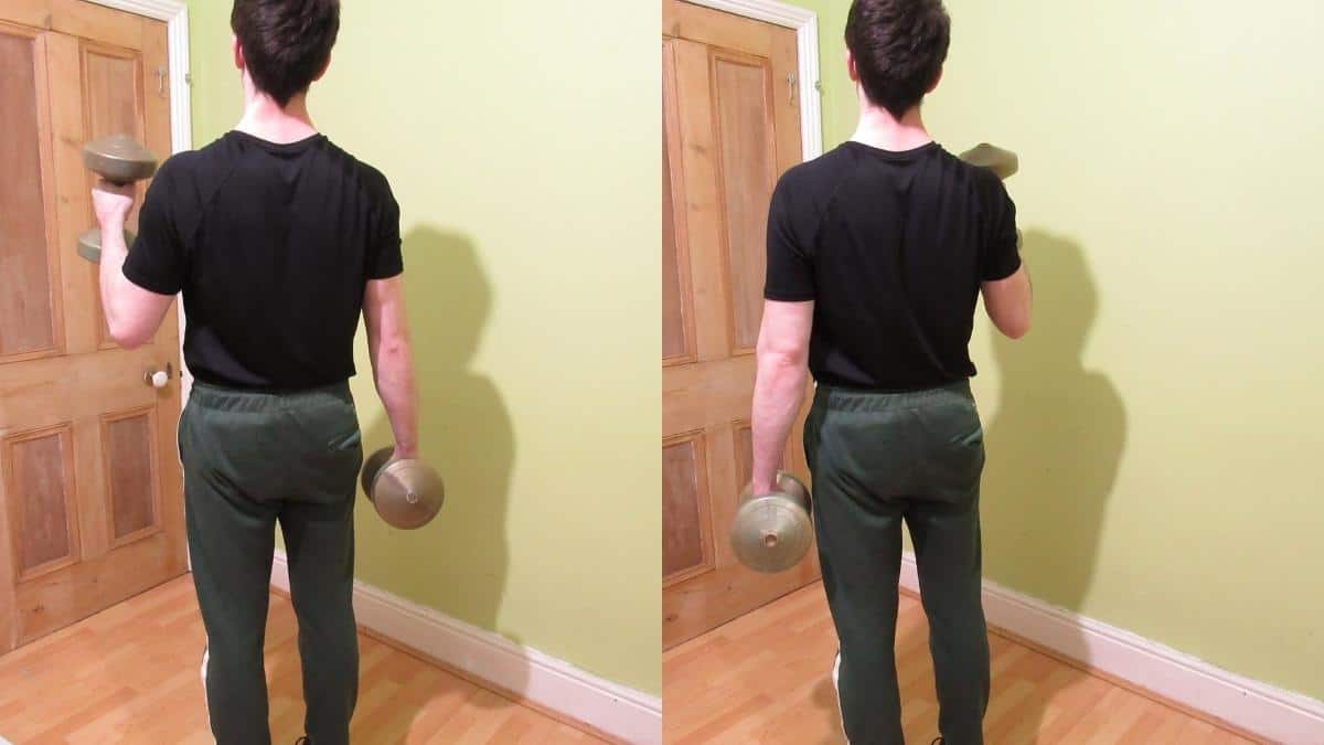 Alternating Hammer Curls Form, Mistakes, Benefits