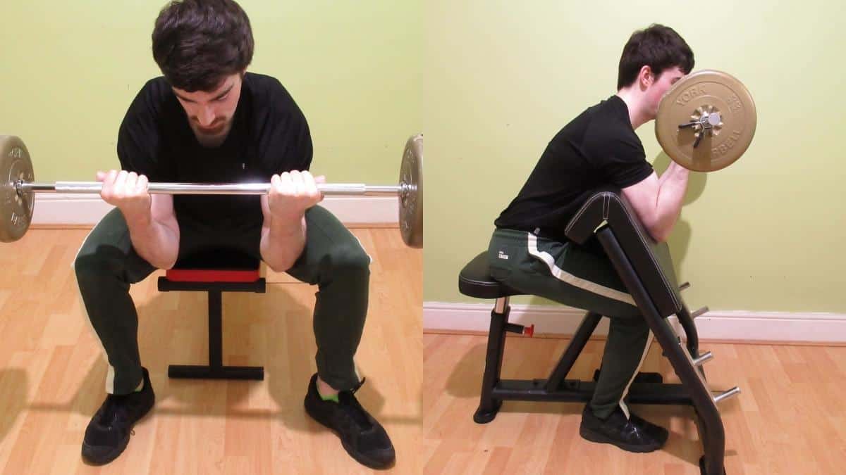 Standing Barbell Bicep Curl How To Guide And Form Tips