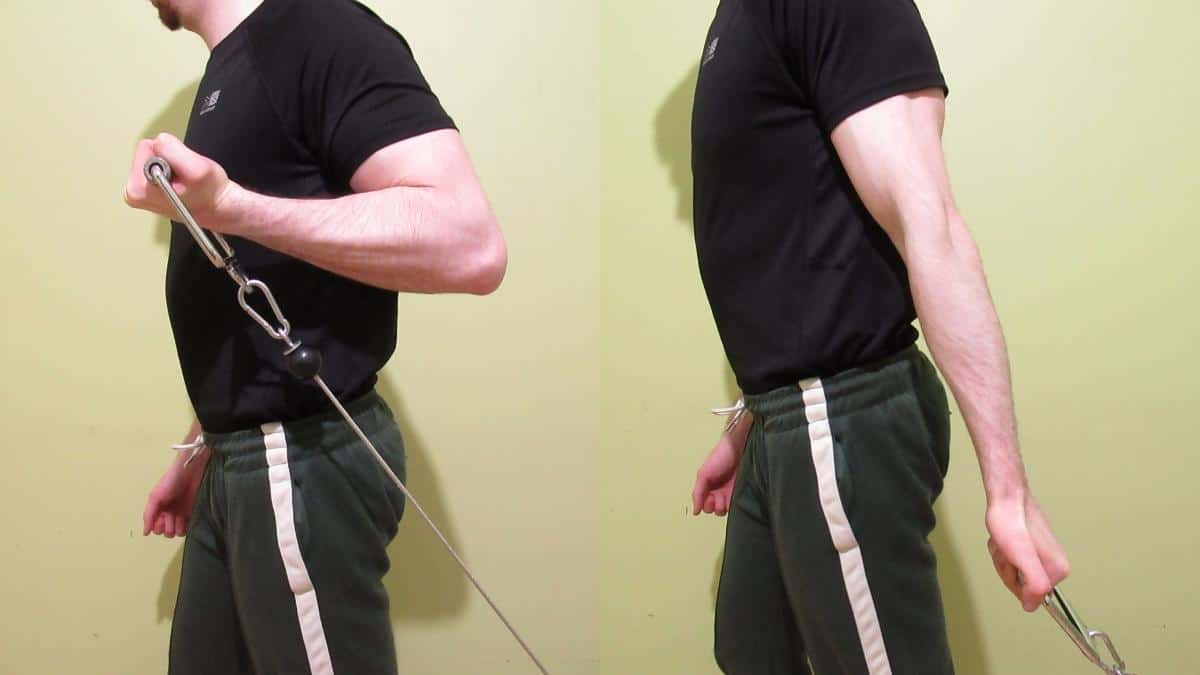 Behind the Back Cable Curl Tutorial and Training Tips