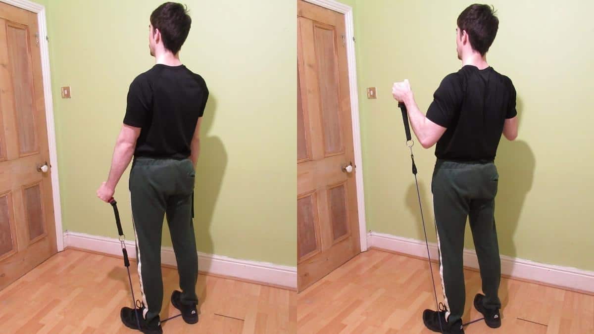 Banded Hammer Curls Tutorial, Advantages, Variations