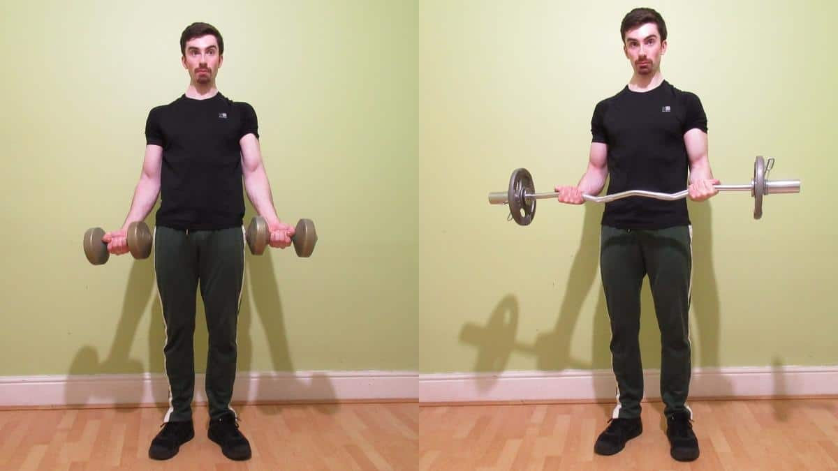 Average Curl Weight (Dumbbell and Barbell Curl Standards)