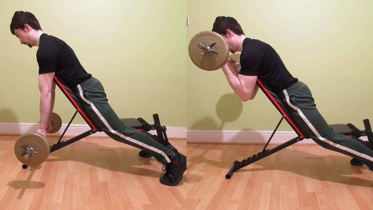 Prone Incline Curl Tutorial (Barbell and Dumbbells) Prone Incline Curl Tutorial (Barbell and Dumbbells)