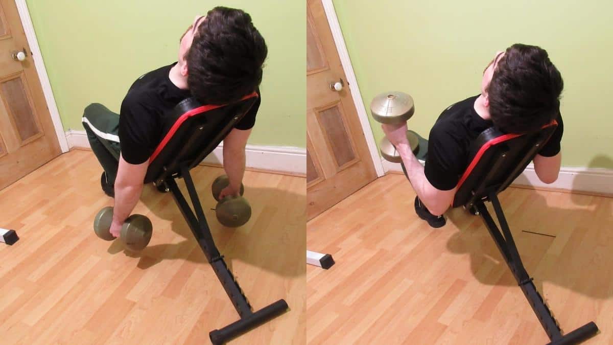 Incline Dumbbell Hammer Curl Tutorial and Benefits