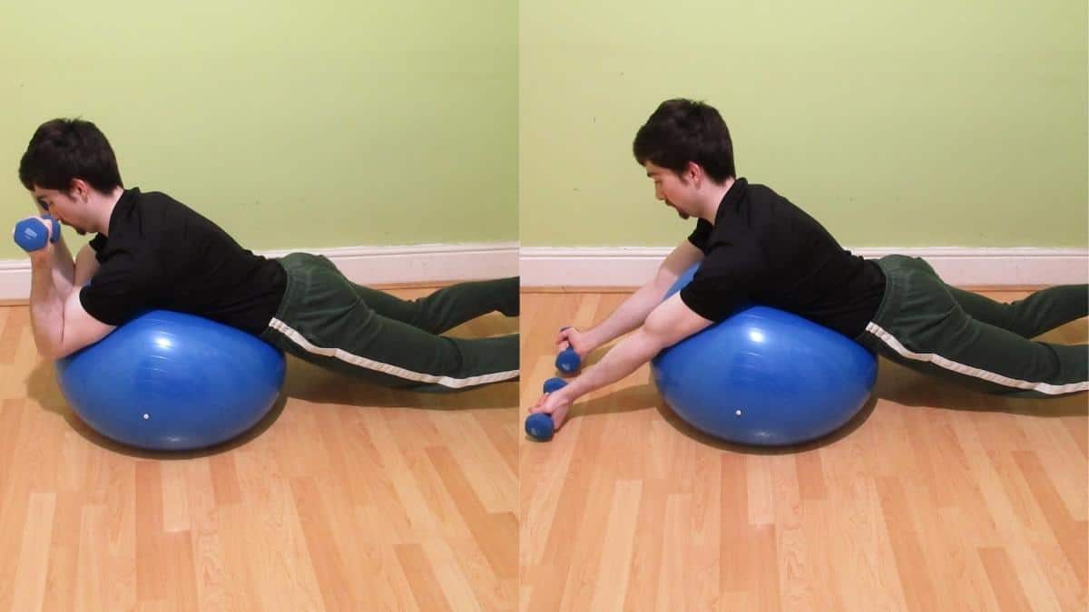 Swiss Ball Bicep Curls and Exercises