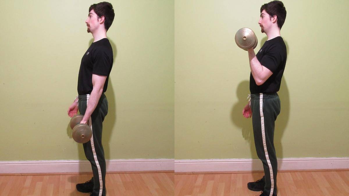 One Arm Dumbbell Curl Tutorial (Biceps)