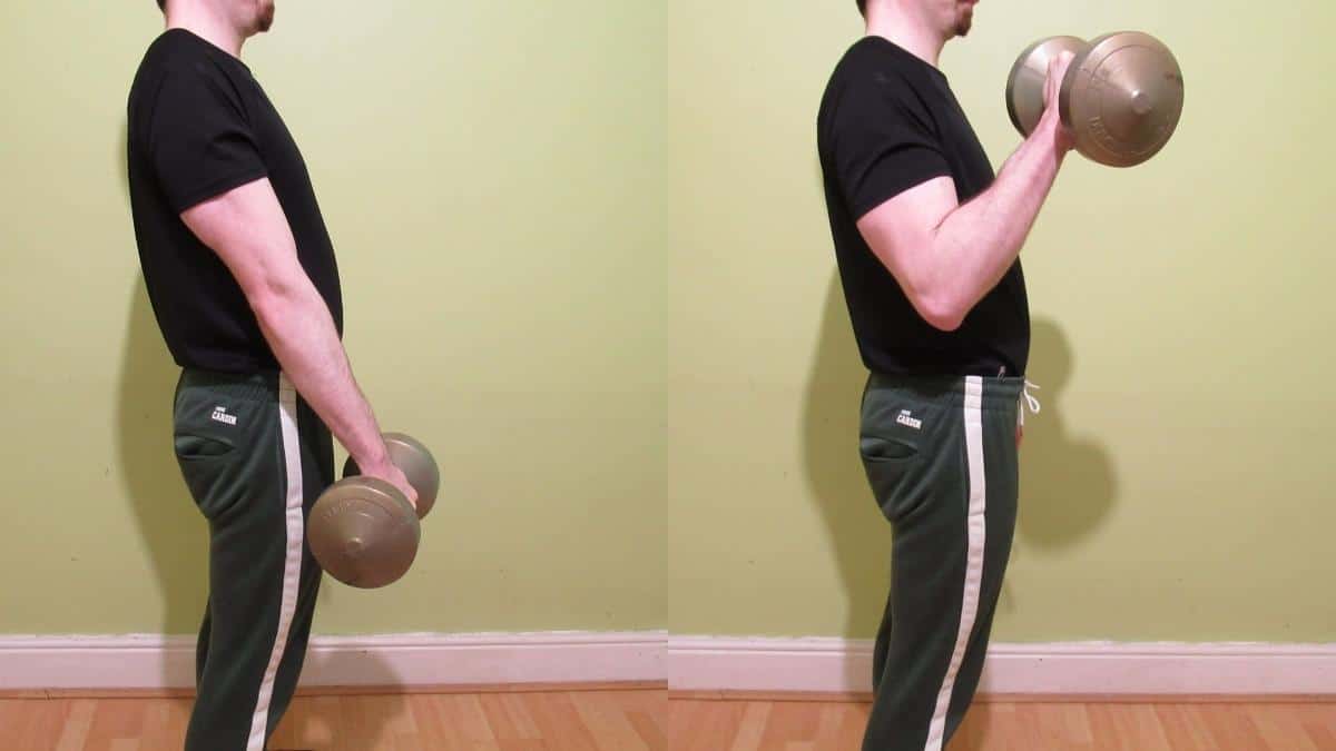 Single Arm Reverse Curl: Complete Tutorial
