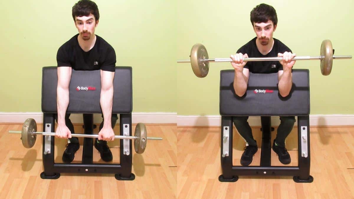 Reverse Preacher Curl Exercise Guide (Pros and Cons) Reverse Preacher Curl Exercise Guide (Pros and Cons)
