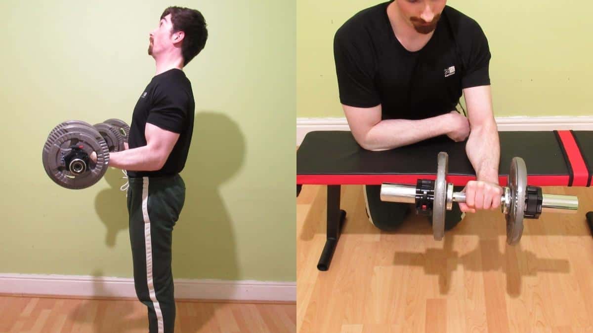 Bicep and Forearm Workout Routines for Arm Size