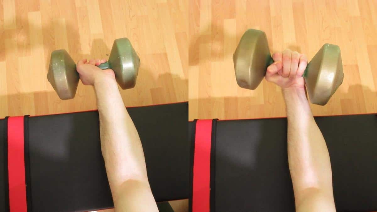 Average Wrist Curl Weight Revealed (Strength Standards)