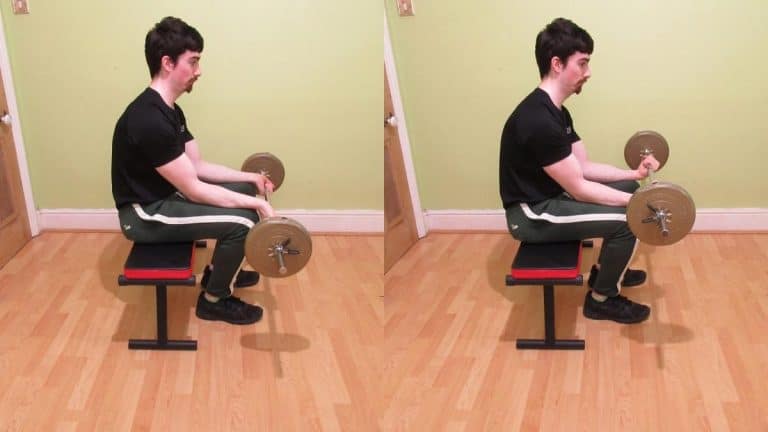 Barbell Wrist Curl for Your Forearms (Seated/Palm Up)