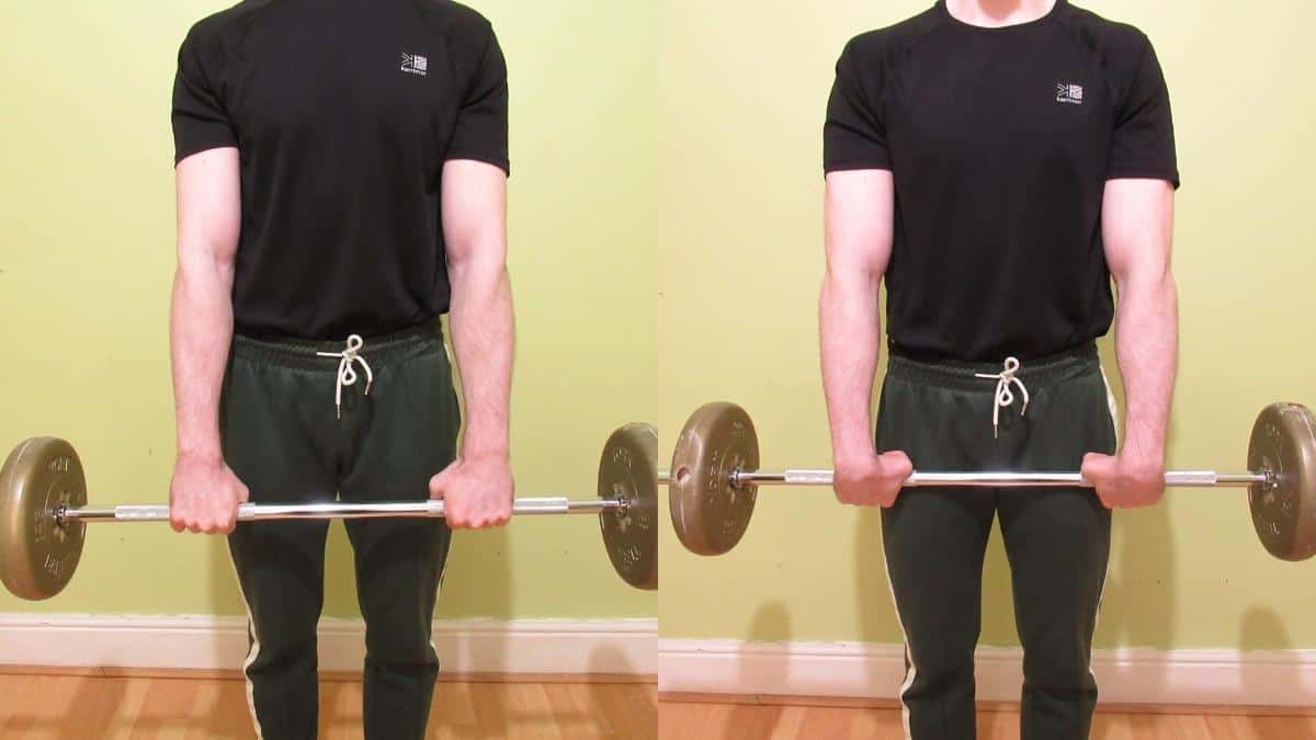 Best Forearm Exercises and Workouts for Mass and Strength