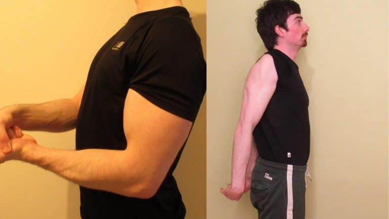 Biceps vs triceps: Key differences explained Biceps vs triceps: Key differences explained