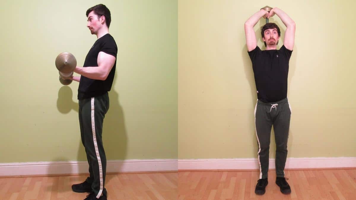 Biceps vs triceps: Key differences explained Biceps vs triceps: Key differences explained