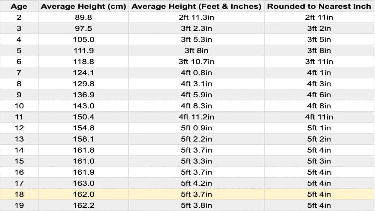 The Average 18 Year Old Height for Females and Males