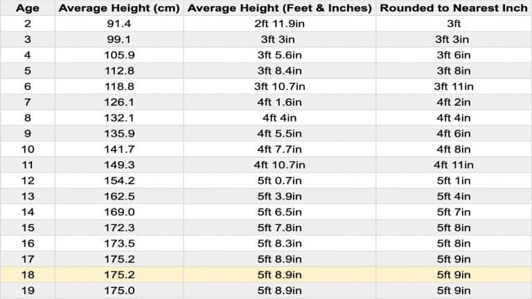 The Average 18 Year Old Height for Females and Males